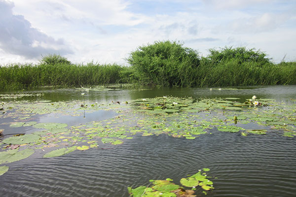 Bird´s Eye View Lodge - lodge set on the banks of the Crooked Tree ...