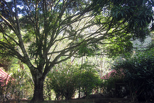 Black Rock Lodge- Belize hotel in Cayo district of Belize - Naturally ...